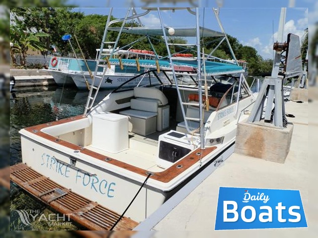 1983 Trojan 10 Meter Express for sale. View price, photos and Buy 1983 ...