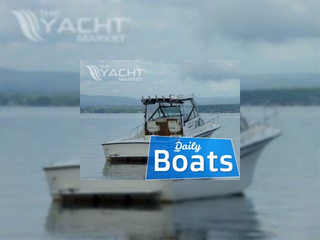 1989 Grady-White 254 Sailfish for sale. View price, photos and Buy 1989 ...