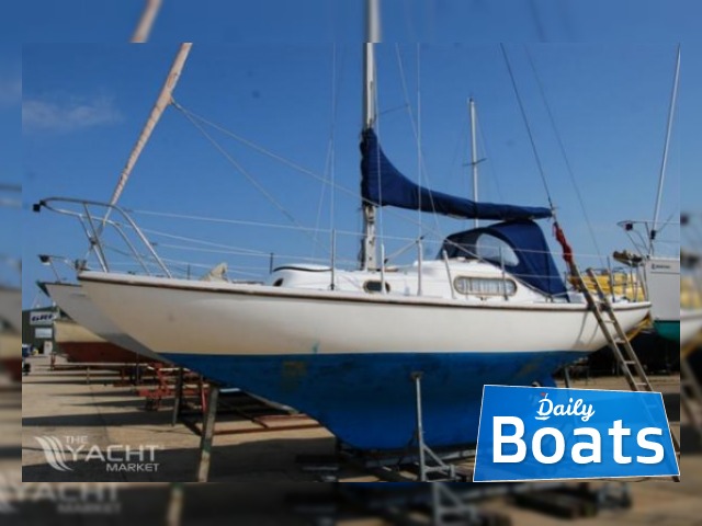 1969 Wing 25 for sale. View price, photos and Buy 1969 Wing 25 #101944