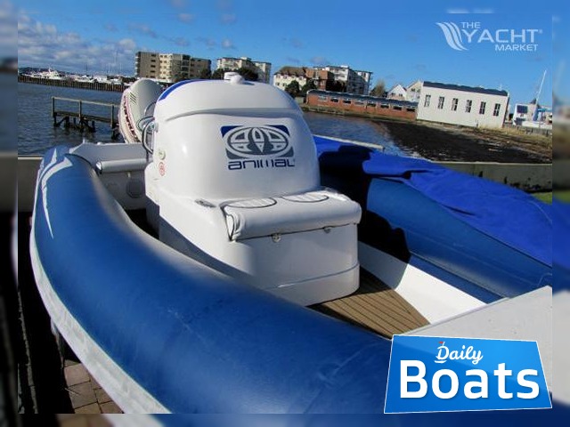 2008 BWM Rib 6.3 Mtr for sale. View price, photos and Buy 2008 BWM Rib ...