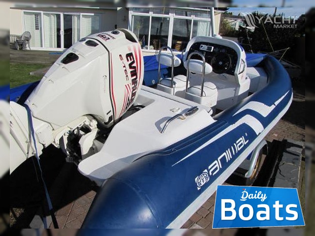 2008 BWM Rib 6.3 Mtr for sale. View price, photos and Buy 2008 BWM Rib ...