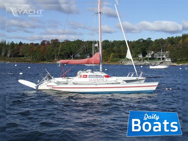 Dragonfly 800 swing wing for sale - Daily Boats