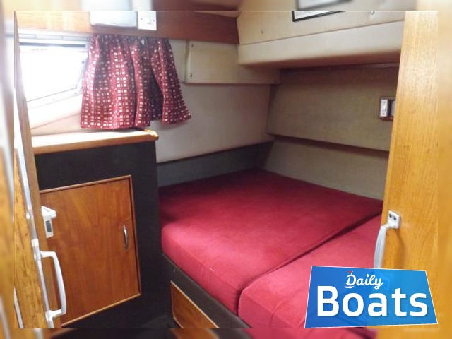 1984 Alpha 35 for sale. View price, photos and Buy 1984 Alpha 35 #106680