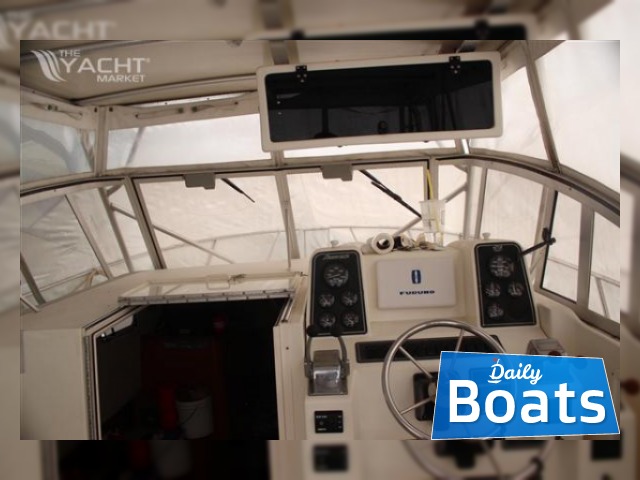 1999 Shamrock 290 Walkaround for sale. View price, photos and Buy 1999 ...