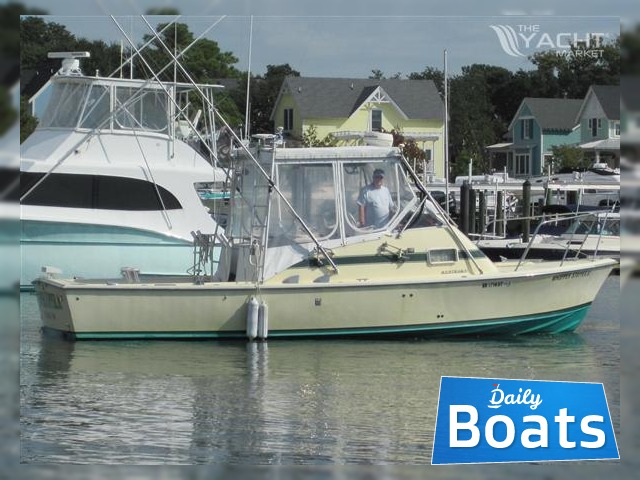 1973 Bertram 31 Sportfish for sale. View price, photos and Buy 1973 ...