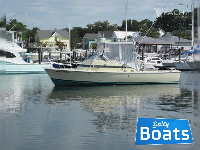1973 Bertram 31 Sportfish for sale. View price, photos and Buy 1973 ...