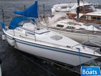 Granada 910 for sale - Daily Boats
