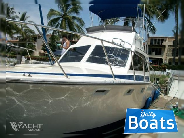 1975 Bertram 36 Convertible for sale. View price, photos and Buy 1975 ...