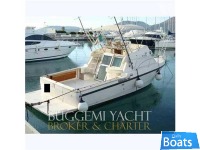 Rio 900 fish for sale - Daily Boats