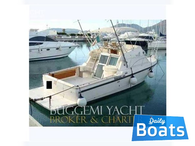 1990 Rio 900 for sale. View price, photos and Buy 1990 Rio 900 #112334