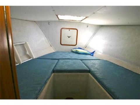 1964 Bertram 31 Express Cruiser for sale. View price, photos and Buy ...