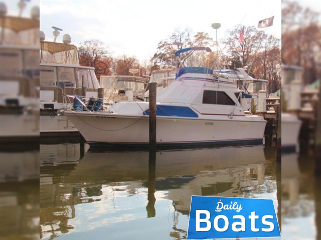 1977 Pacemaker Convertible Sedan for sale. View price, photos and Buy ...