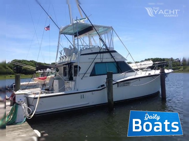 1974 Hatteras Convertible for sale. View price, photos and Buy 1974 ...
