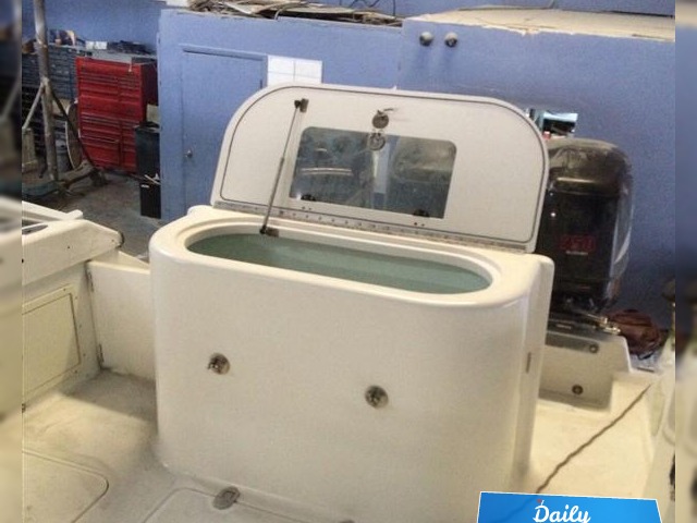 2005 Sterling 38' Center Console for sale. View price, photos and Buy ...