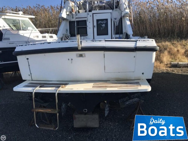 1988 Phoenix 29 Sfx for sale. View price, photos and Buy 1988 Phoenix ...