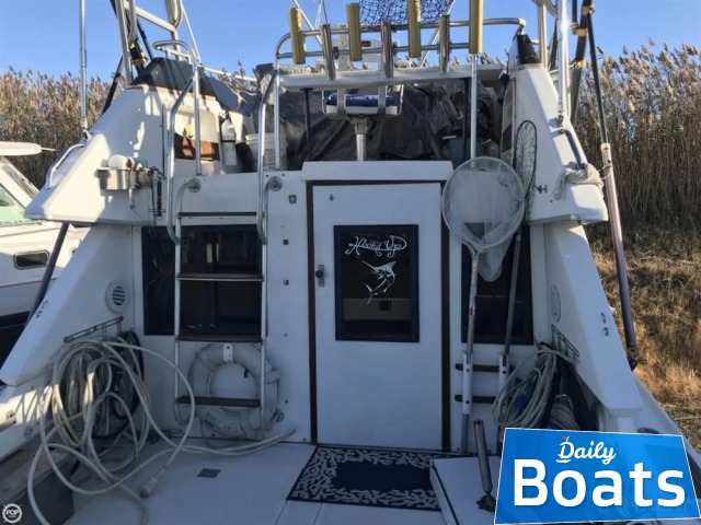 1988 Phoenix 29 Sfx for sale. View price, photos and Buy 1988 Phoenix ...