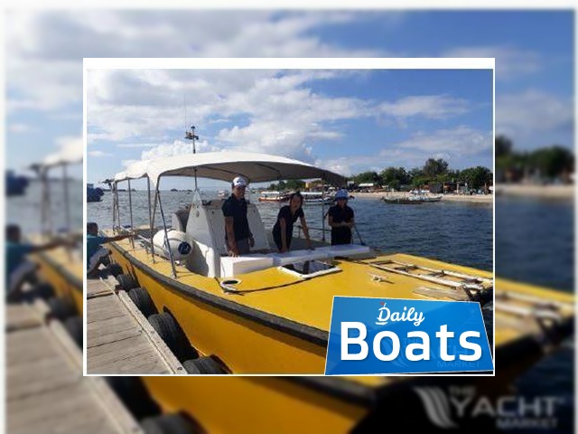 2017 Custom Cargo Catamaran for sale. View price, photos and Buy 2017 ...