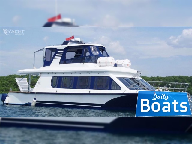 2011 Custom Power Catamaran for sale. View price, photos and Buy 2011 ...