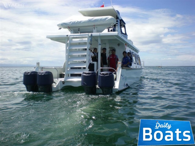 2011 Custom Power Catamaran for sale. View price, photos and Buy 2011 ...