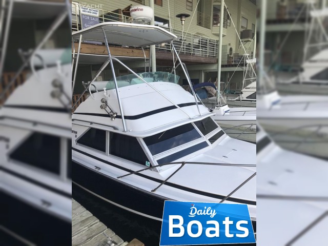 1976 Bertram Sportfish for sale. View price, photos and Buy 1976 ...