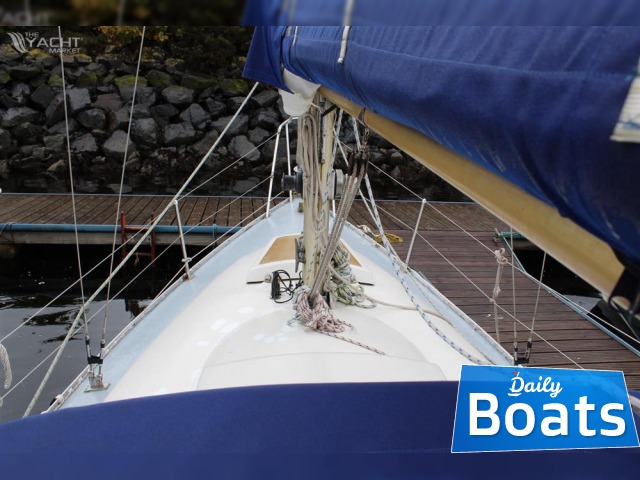 Trapper 28 for sale. View price, photos and Buy Trapper 28 #138831