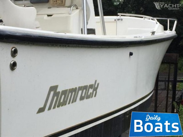 2001 Shamrock 220 Stalker for sale. View price, photos and Buy 2001 ...