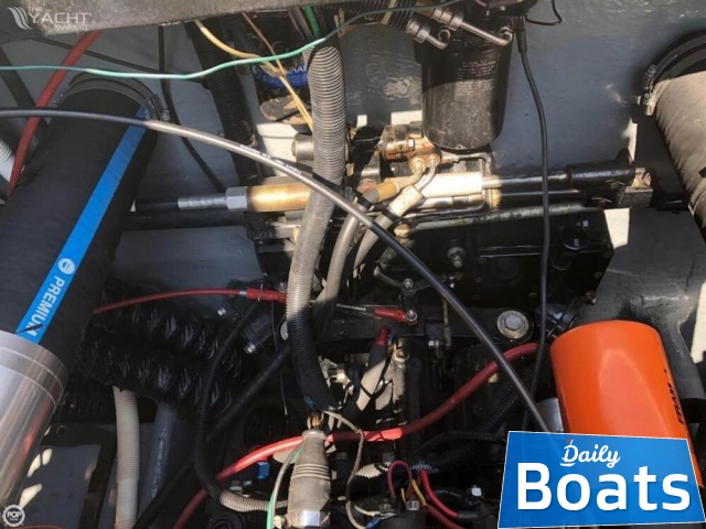 1985 Scarab Iii for sale. View price, photos and Buy 1985 Scarab Iii ...