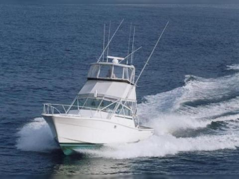 1986 Topaz 37 Sportfisherman for sale. View price, photos and Buy 1986 ...