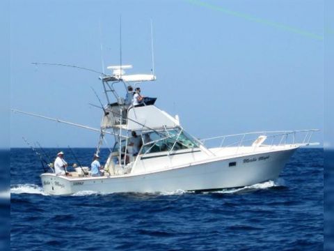 1986 Topaz 37 Sportfisherman for sale. View price, photos and Buy 1986 ...