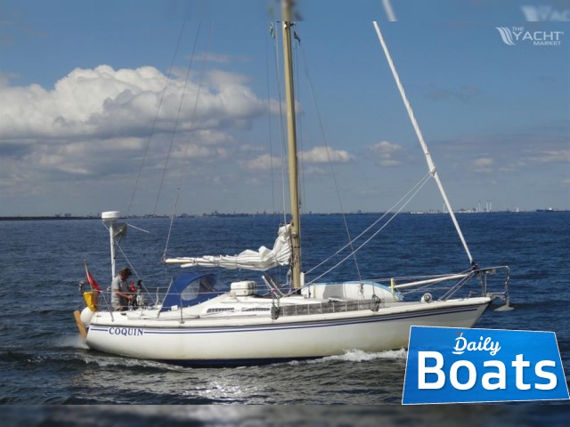 1976 Conyplex Contest 31 Ht for sale. View price, photos and Buy 1976 ...