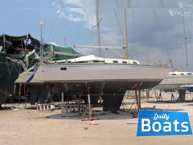 1984 Carter 33 for sale. View price, photos and Buy 1984 Carter 33 #145080