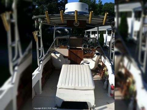 1987 Shamrock 25 Predator for sale. View price, photos and Buy 1987 ...