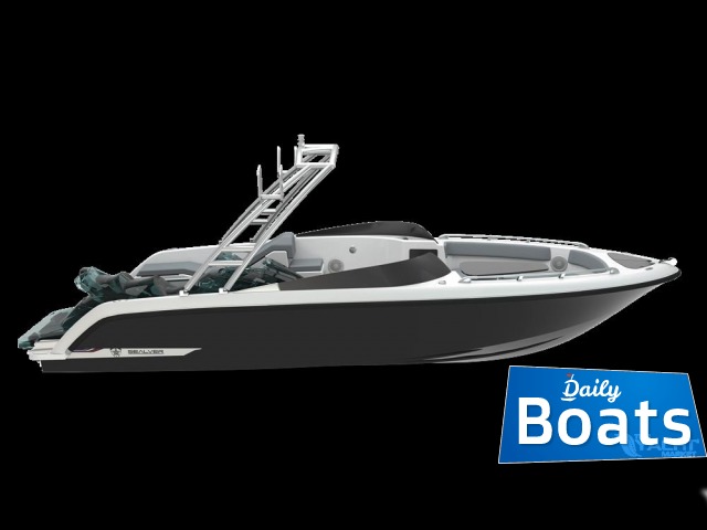 2018 Sealver Wave Boat 656 Full Wake for sale. View price, photos and ...
