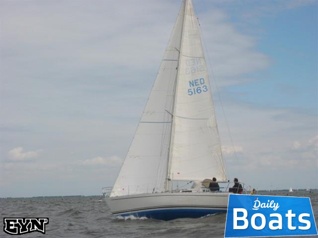 1993 Q Boats 33 (Kalik) for sale. View price, photos and Buy 1993 Q ...