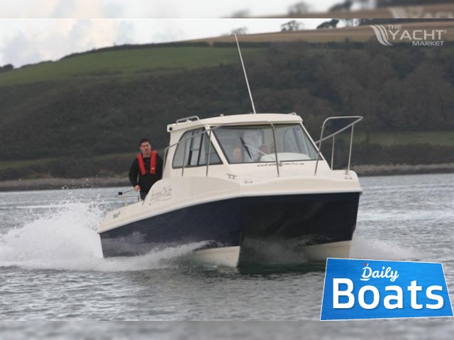 2017 Powercat Powercats 525.695.805 for sale. View price, photos and ...