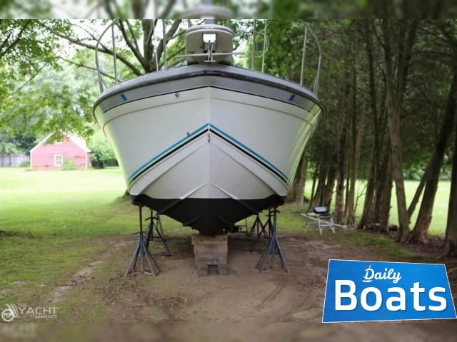 1988 Formula Thunderbird F29 Pc for sale. View price, photos and Buy ...