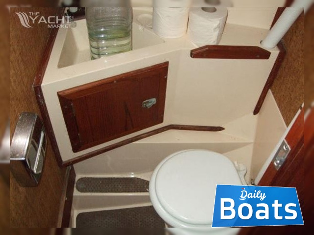 1981 Seamaster 29 for sale. View price, photos and Buy 1981 Seamaster ...