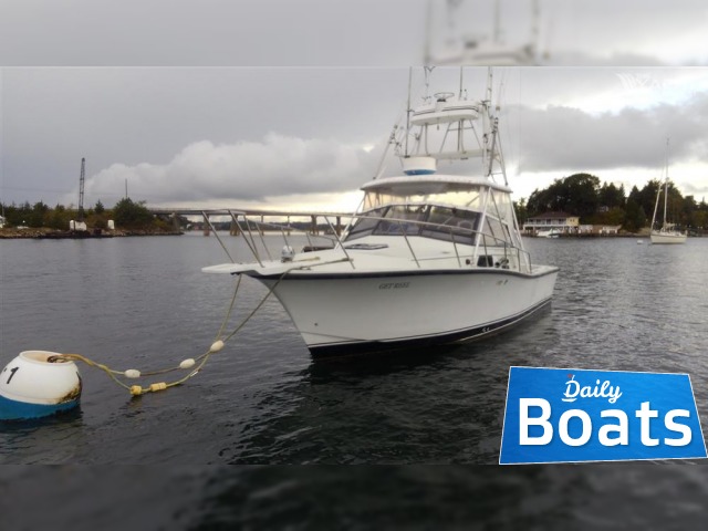 1989 Rampage Sportfish 31 for sale. View price, photos and Buy 1989 ...