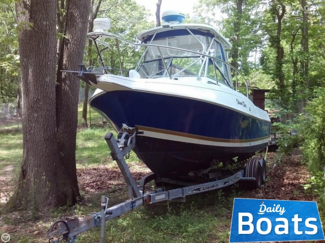 2002 Aquasport 250 Explorer for sale. View price, photos and Buy 2002 ...