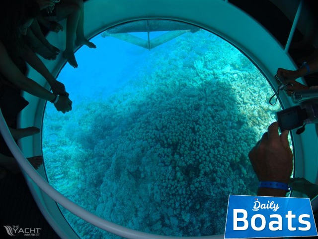 2019 Looker Paritetboat Glass Bottom Boat 350 for sale. View price ...