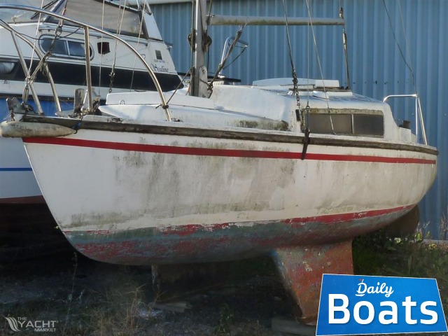 Vivacity 20 for sale. View price, photos and Buy Vivacity 20 #165284