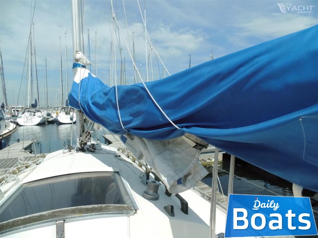 1982 Contest 25 Oc for sale. View price, photos and Buy 1982 Contest 25 ...