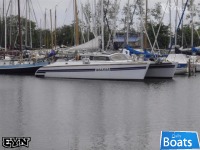 Roger Simpson catamaran 14.60 for sale - Daily Boats