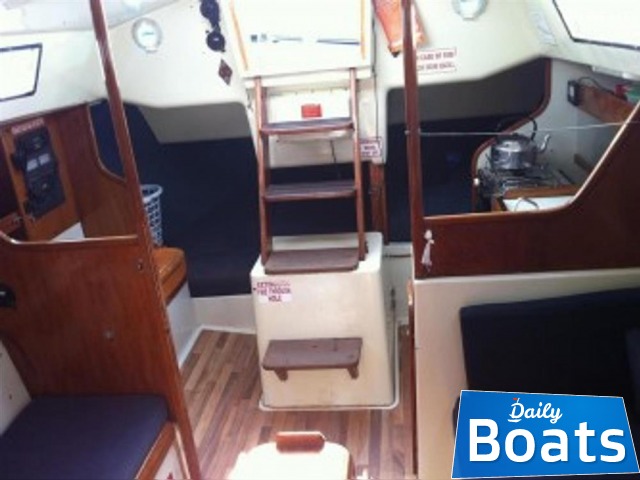 L34 for sale | Buy L34