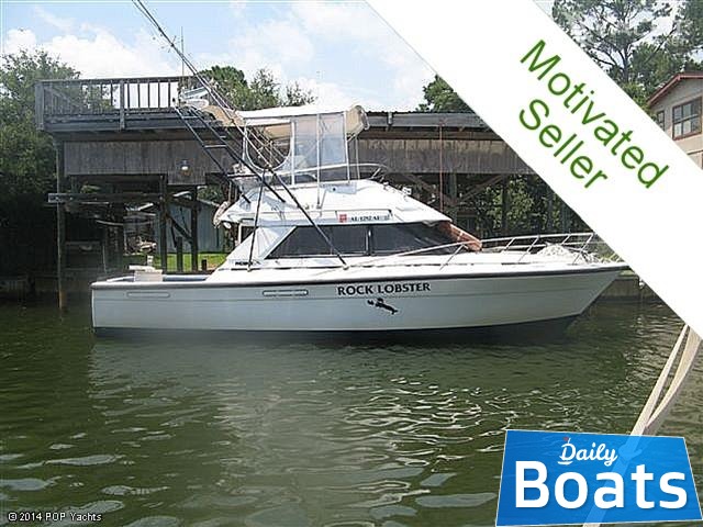 1990 Phoenix 33 Convertible 1990 for sale. View price, photos and Buy ...