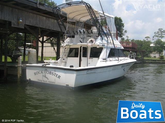 1990 Phoenix 33 Convertible 1990 for sale. View price, photos and Buy ...