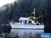 Chb 34 tri cabin for sale - Daily Boats