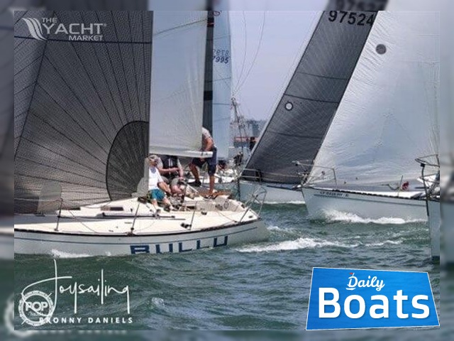 1985 Shock 35 for sale. View price, photos and Buy 1985 Shock 35 #171668