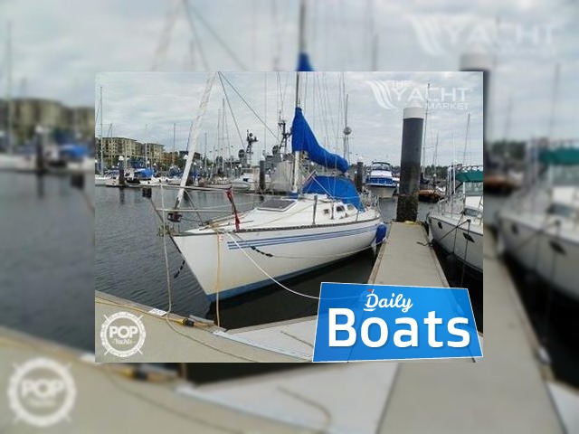 1981 WD Schock 36 for sale. View price, photos and Buy 1981 WD Schock ...