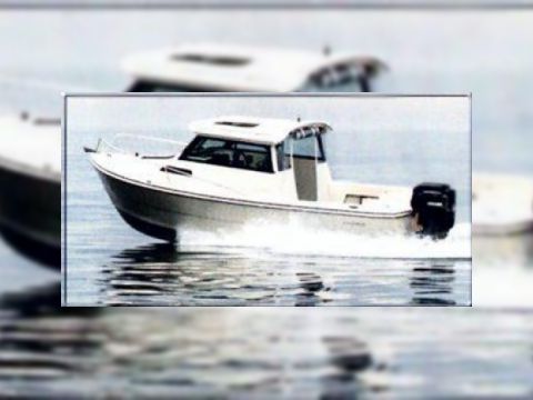 2005 Arima Sea Ranger 19 Hardtop /Trailer for sale. View price, photos ...